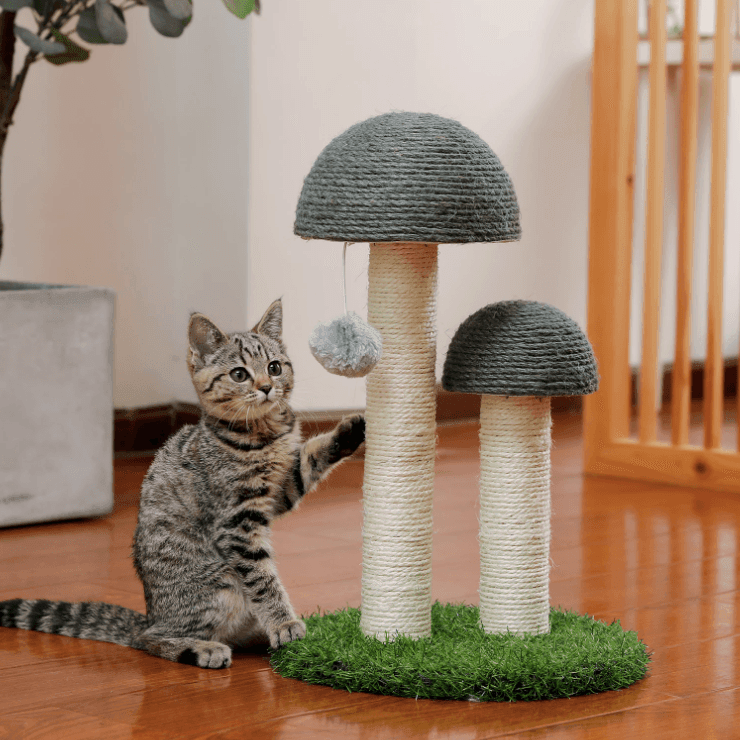 Mushroom Cat Scratching Post with Ball – huemabe - Creative Home Decor